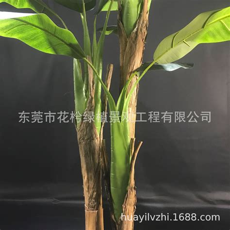 仿真芭蕉树室内造景假树banana Tree室内大型落地景观植物装饰 阿里巴巴