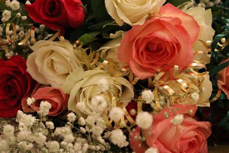 Blumen Blume Kostenloses Foto Auf Pixabay Pixabay