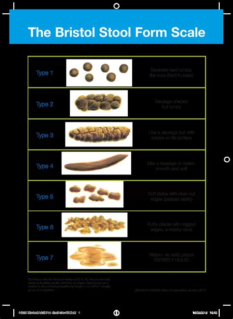 Bowel Movement Chart