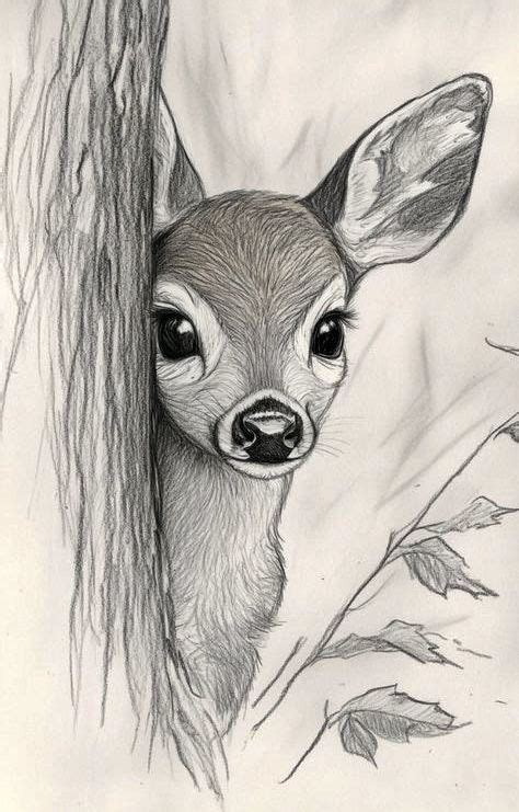 Best Pencil Drawings Of Animals