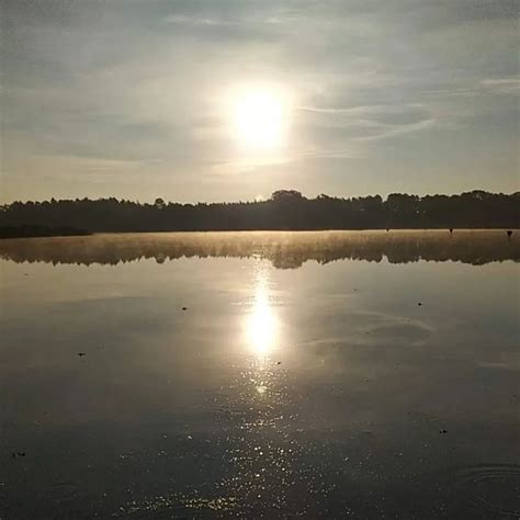 Anna Appelbaum Anna Appelbaum Kobieca Przetwórnia