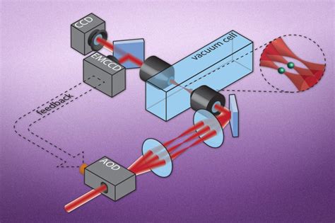 Atom By Atom Assembly Of Defect Free One Dimensional Cold Atom Arrays Rle At Mit