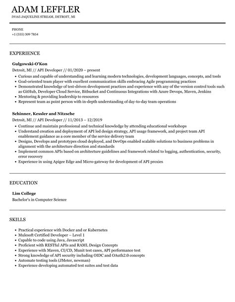 Api Developer Resume Samples Velvet Jobs