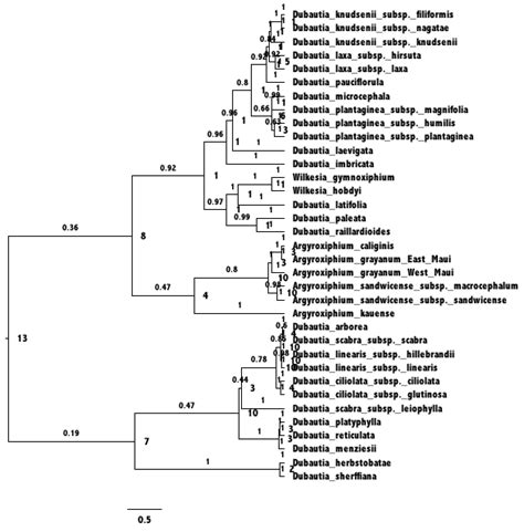 revbayes simple phylogenetic analysis using the dec model