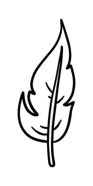 Premium Vector Feather Bird Decoration Doodle Linear Cartoon Coloring