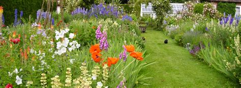 Michael S CG Arts Animation Blog Adaptation Gertrude Jekyll