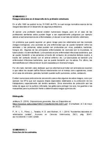 Seminario Pdf