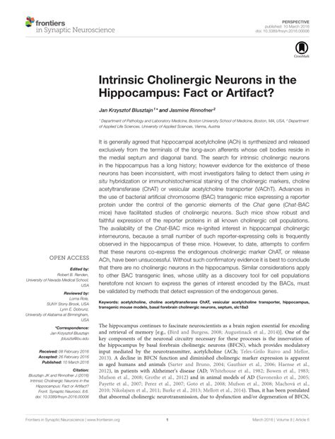 Pdf Intrinsic Cholinergic Neurons In The Hippocampus Fact Or Artifact