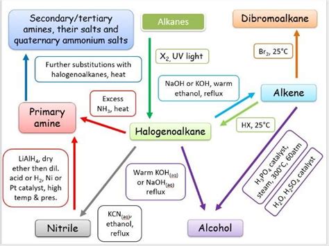Organic Synthesis And Synthetic Routes Teaching Resources