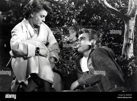 James Dean Girl Telegraph