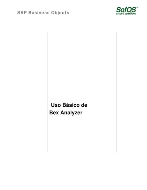 Pdf De Programación Sap Business Objects Manual Usuario Bex Analyzer