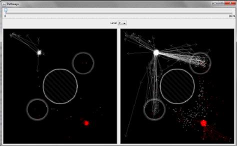 A Screenshot Of The Pathways Visualization System Visualizing Part Of