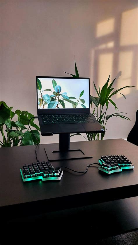 Iris 6 I Love This Keeb 🌿 Rolkb