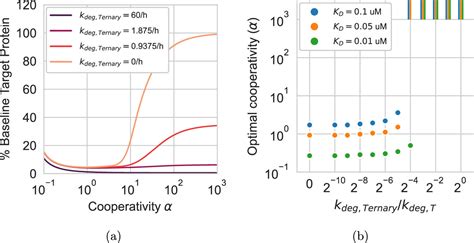 Modeling The Effect Of Cooperativity In Ternary Complex Formation And
