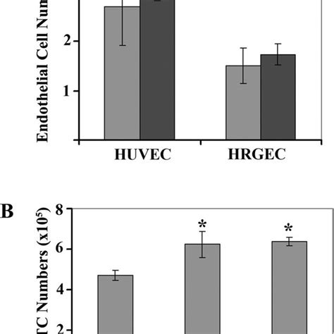 Cell Numbers The Numbers Of Endothelial Cells A Or Hptc B Were