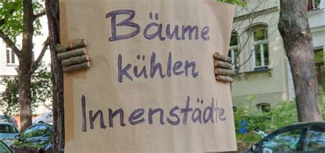 Nachrichten Du Bist Halle