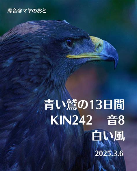 まのん🌈マヤ暦案内人 白い風のキーワードは、共感、伝える。 白い風を、目で見ることはできません。 風の強弱は体感で感じることができ、 風が