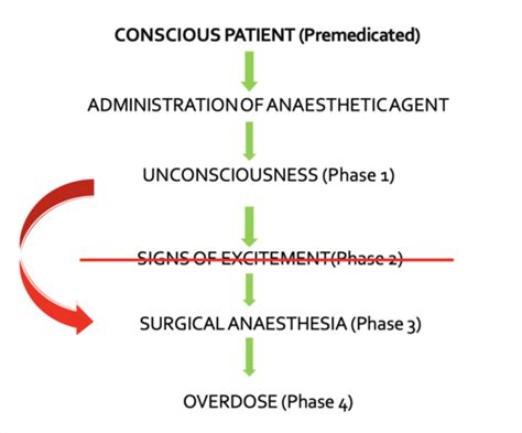 Induction Anaesthesia Flashcards Quizlet