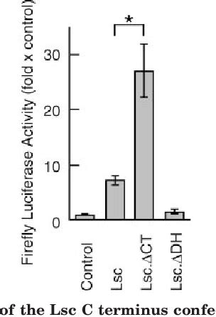 Figure 2 From The Rho Guanine Nucleotide Exchange Factor Lsc Homo