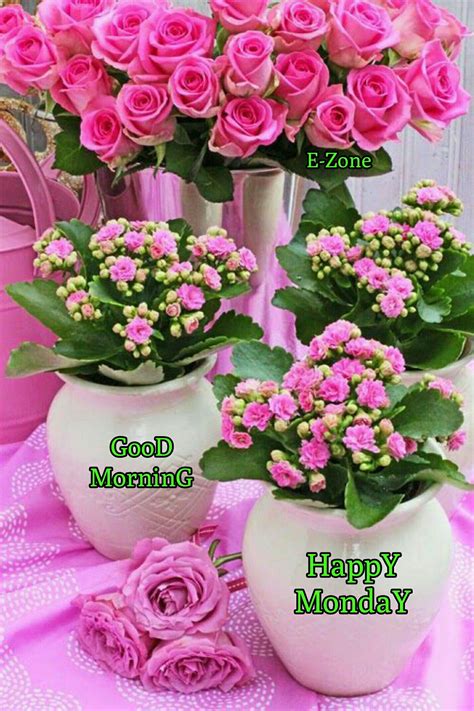 Pin By On NiCe Good Morning Flowers Good Evening Wishes Morning