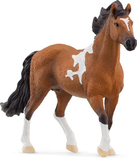 schleich 13978 Mangalarga Marchador Hengst, ab 5 Jahren, HORSE CLUB ...
