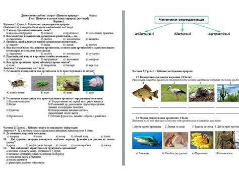Презентація на тему “Що таке мистецтво виживання” Пізнаємо природу 6 клас