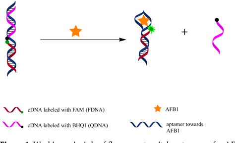 Figure 1 From A Simple Structure Switch Aptasensor Using Label Free Aptamer For Fluorescence