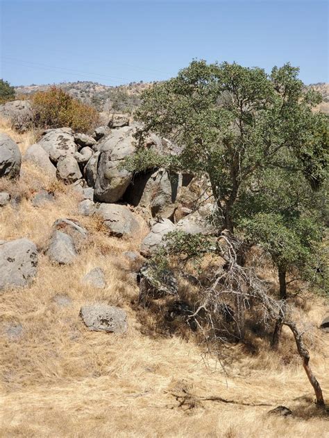 Alex Hepler On Linkedin Rangelandsoftulare