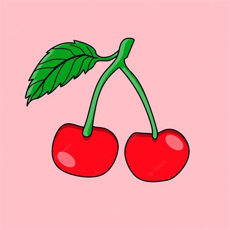 체리 프리미엄 벡터