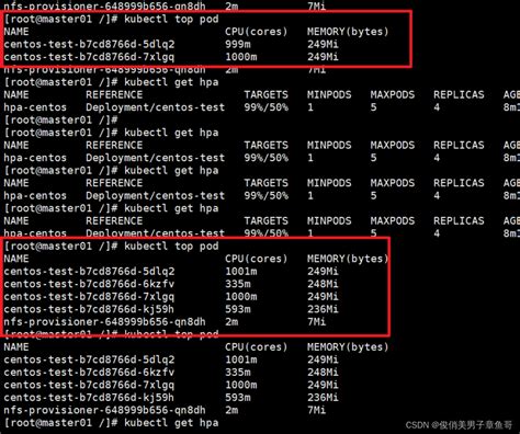 k8s pod的水平自动伸缩hpa hpa水平伸缩 csdn博客