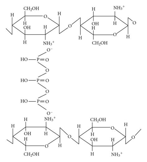 Ionotropic Cross Linking Of Chitosan And Tpp Download Scientific Diagram