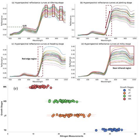 Estimating Rice Leaf Nitrogen Content And Field Distribution Using
