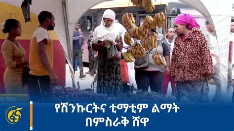 የሽንኩርትና ቲማቲም ልማት በምስራቅ ሸዋ Youtube
