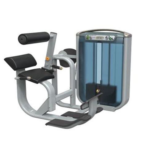 Strength Pin Loaded Gym Equipment Back Extension Sports Machine China