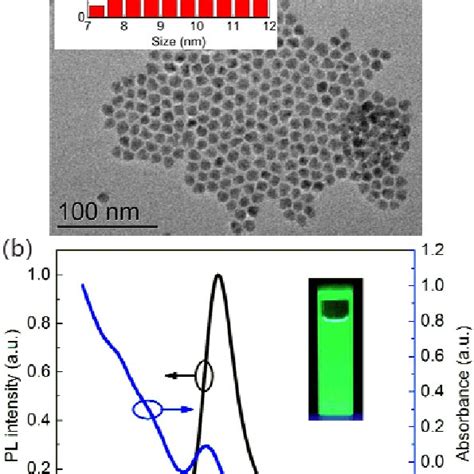A Tem Image Of The Cdse Zns Quantum Dots B Uv Visible Absorption Download Scientific