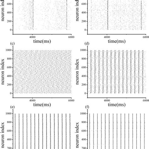 The Raster Maps Of Neuron Discharge Under The Effect Of Stdp Right Download Scientific Diagram