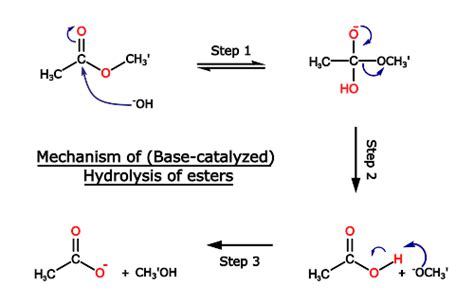 Basic Hydrolysis Of Esters Saponification