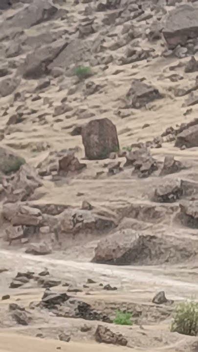 کوه دنبال آدم کتوله Youtube