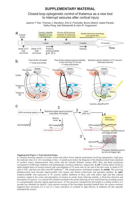 Pdf Closed Loop Optogenetic Control Of Thalamus As A New Tool · A B Epileptiform