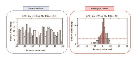 Definition Of Backward And Forward Motor Unit Mu Recurrence Times A Download Scientific
