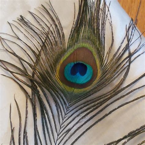 Long Peacock Feather Etsy