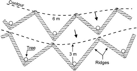 Micro Catchment Runoff Farming Water Harvesting Download Scientific Diagram