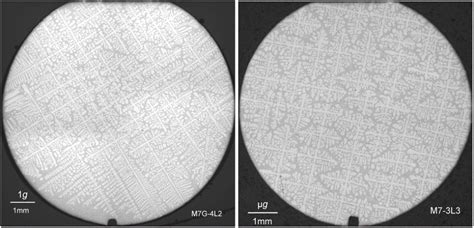 Microstructure Formation In Casting Of Technical Alloys Under Diffusive