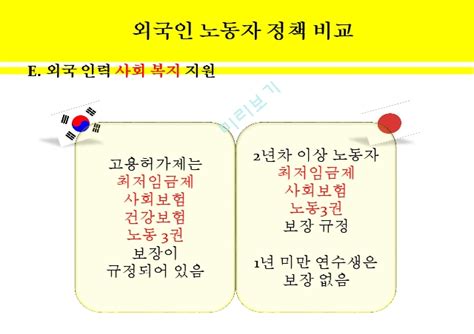 외국인 노동자 정책외국 인력 체류외국인력 사회복지체류 관리 법률고용허가제도기능실습제도인문사회레포트
