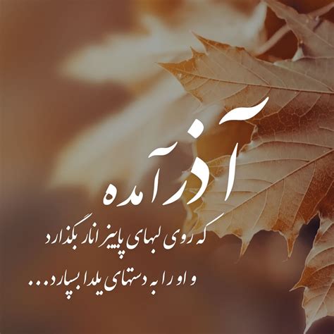 آذر ماهی، خصوصیات و معرفی افراد مشهور متولد آذر فارسی بیوتی