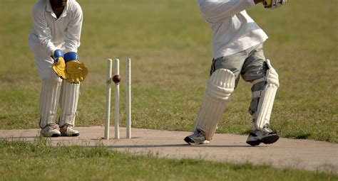 Cricket Canada Announces Their New Board Of Directors Toronto Caribbean Newspaper