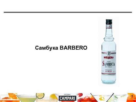 Cамбука BARBERO 1 РЫНОК САМБУКИ В РОССИИ