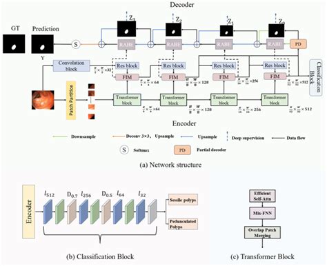Simultaneous Segmentation And Classification Of Colon Cancer Polyp Images Using A Dual Branch