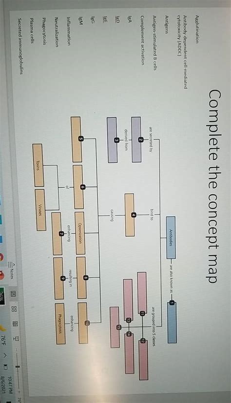Solved Complete The Concept Map Agglutination Antibody Dependent