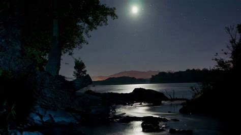 Moonlight Darling By Ellie Mae Fillingham Youtube